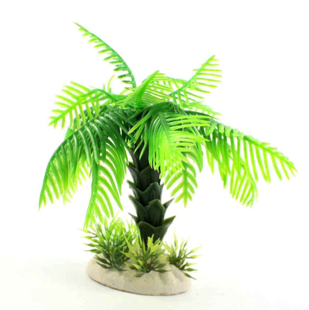 MINI Palma MAŁA krab, traszka, akwaterrarium - 10766437180 - oficjalne ...