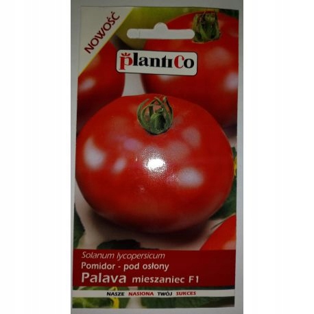 Pomidor pod osłony PALAVA mieszaniec F1 nasiona - 12747038806 - oficjalne archiwum Allegro