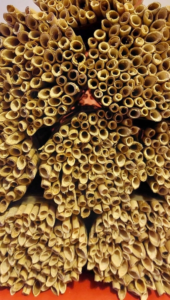 RURKI 20CM trzcina pszczola murarka rogata - 16994523528 - oficjalne ...