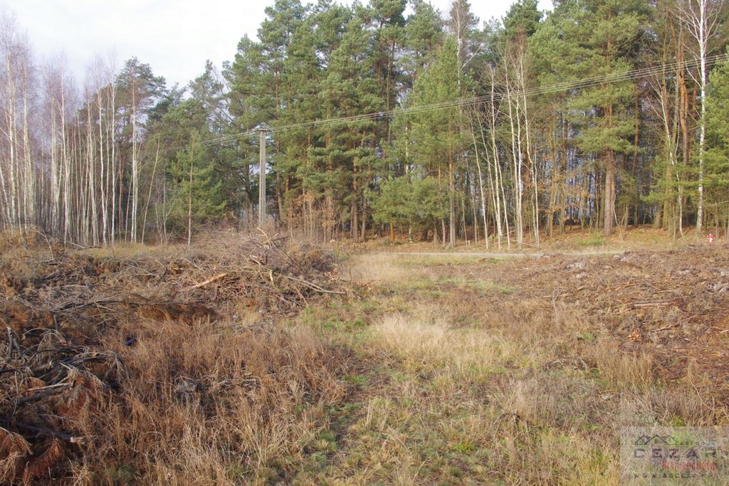 Działka, Kąck, Wiązowna (gm.), 1268 m² - 13194806471 - oficjalne ...