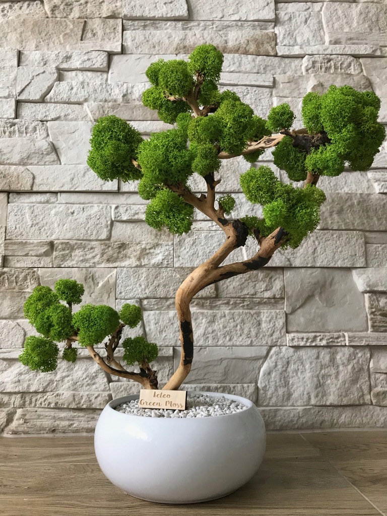 mech chrobotek drzewko bonsai dekoracja prezent - 8554161918 ... mech chrobotek drzewko bonsai dekoracja prezent - 8554161918 ...