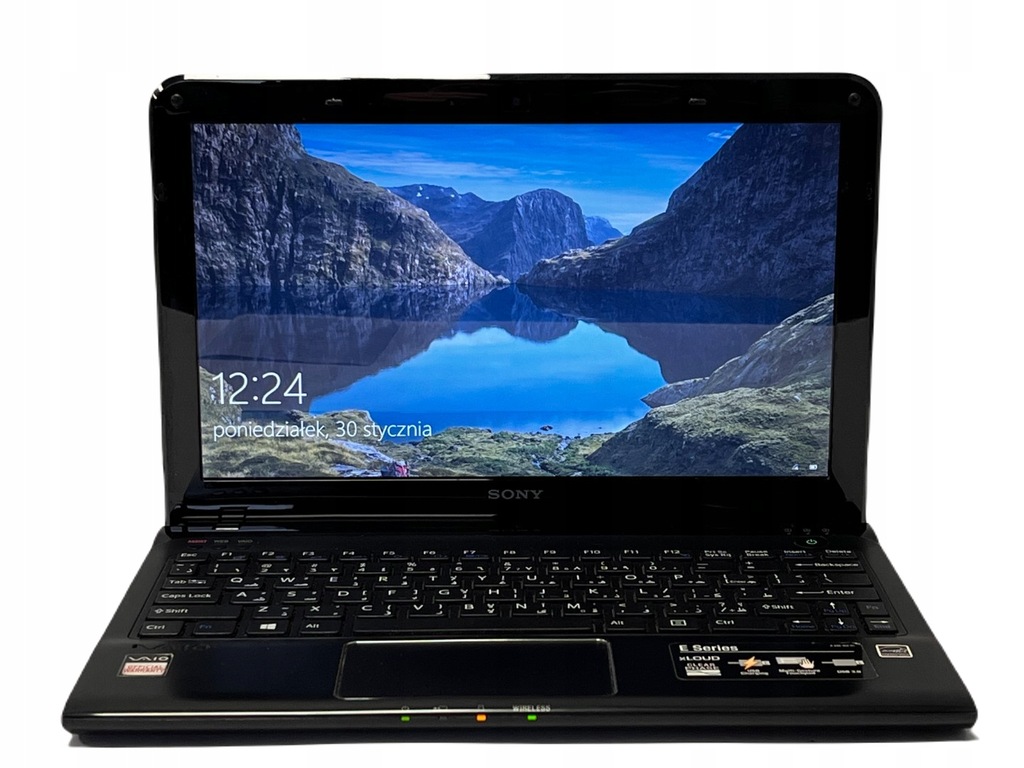 SONY Vaio E 11.6'' AMD E2 4GB 500GB HDMI CD16 - 13198848969 - oficjalne ...