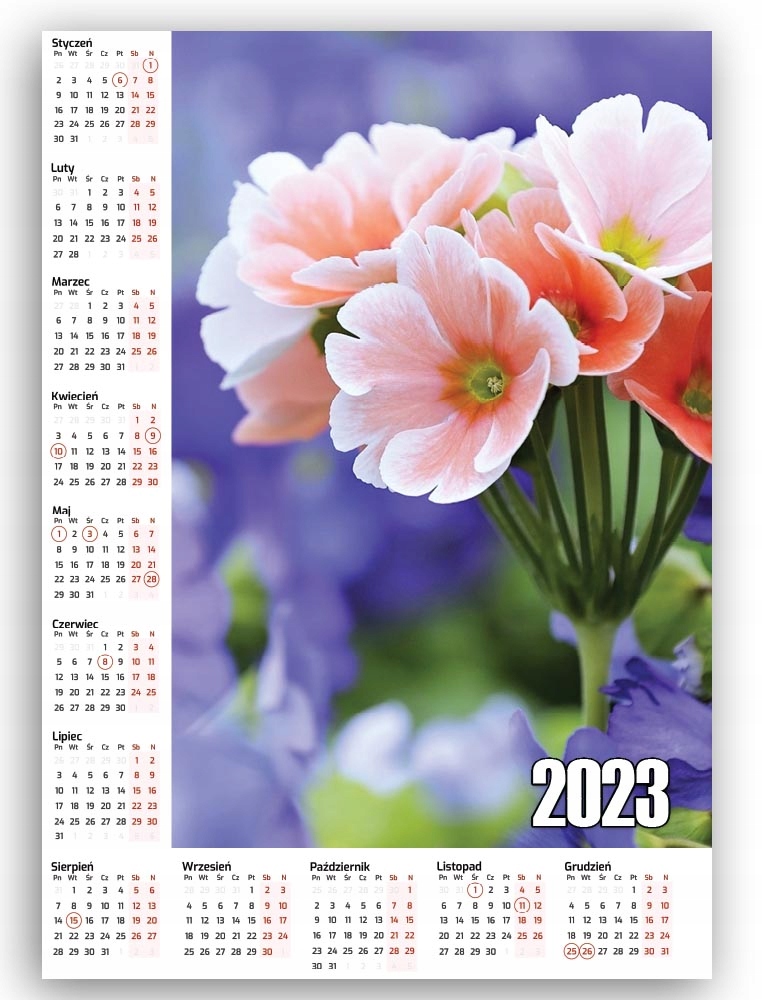 KALENDARZ PLAKATOWY A4 PDM KWIATY 02 2023 - 12720698455 - oficjalne archiwum Allegro