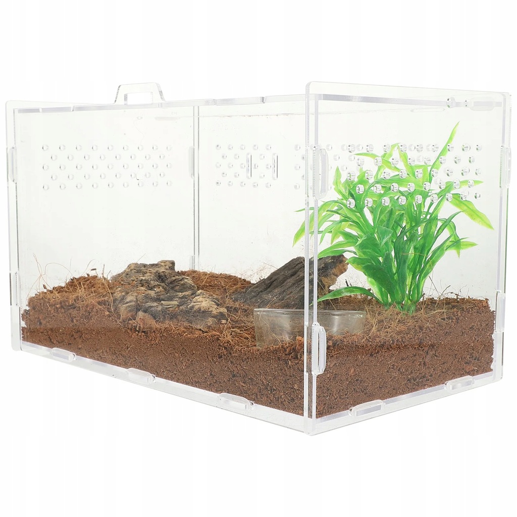 Lizard Cage Terrarium Glass Containers - 13736176154 - oficjalne ...