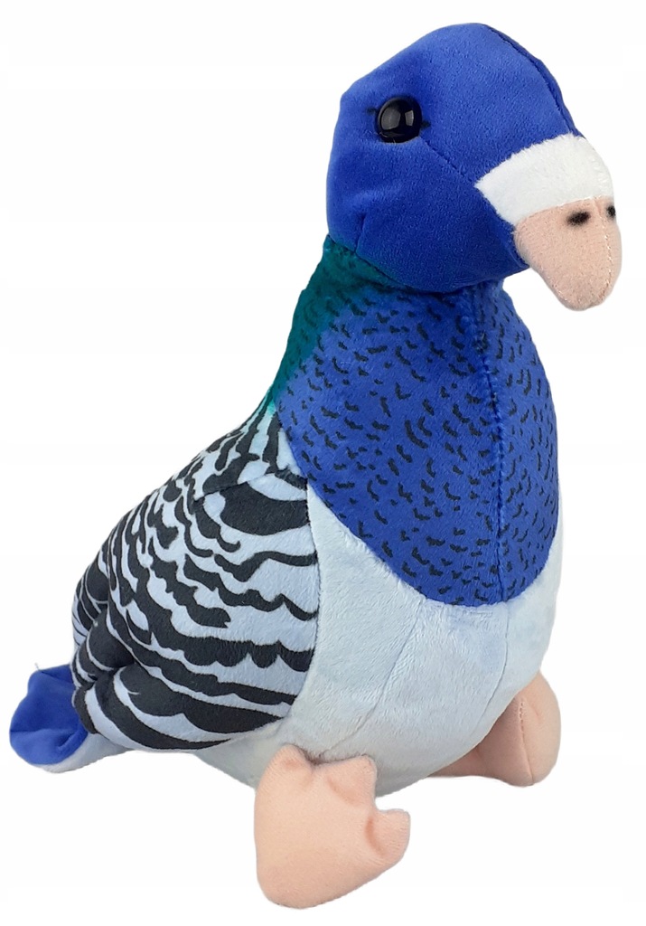 PLUSZOWY PIĘKNY GOŁĄB GOŁĄBEK PTAK MASKOTKA - 12608900871 - oficjalne ...