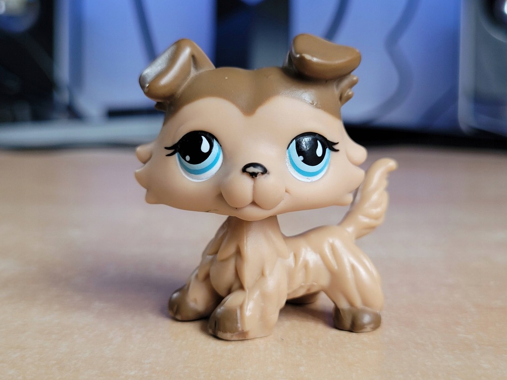 LPS Littlest Pet Shop pies piesek Collie #893 - 12526675730 - oficjalne archiwum Allegro