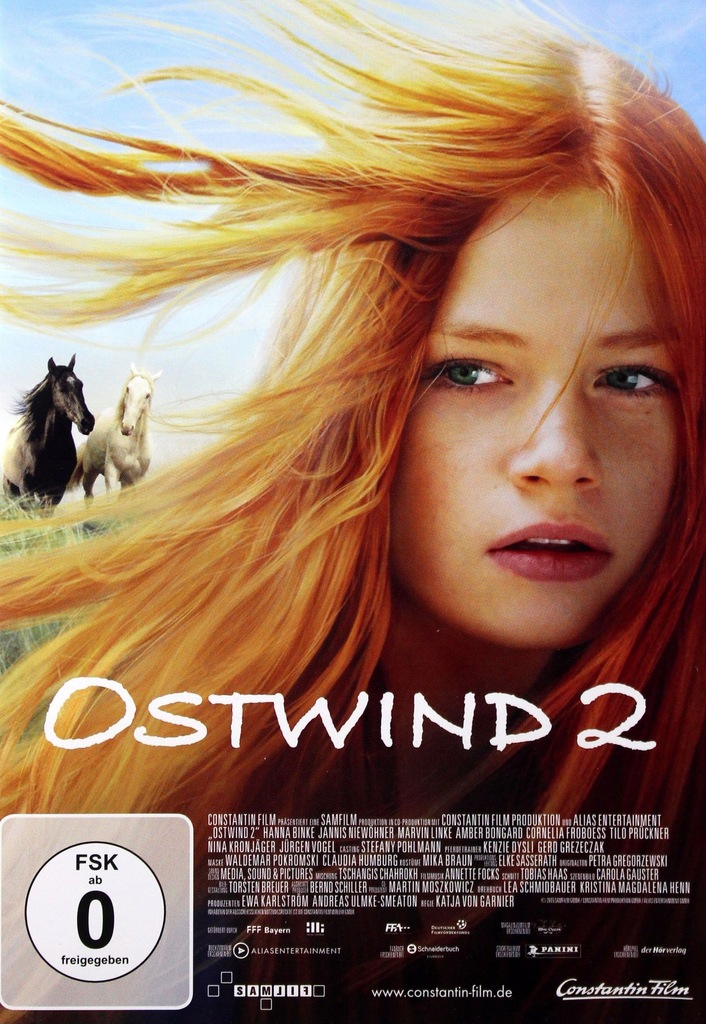 WINDSTORM 2 (WICHER 2) (DVD) - 10573334528 - oficjalne archiwum Allegro