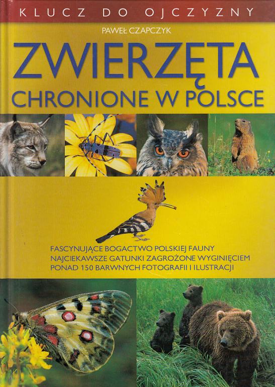 ZWIERZĘTA CHRONIONE W POLSCE KLUCZ DO OJCZYZNY - 5058721151 - oficjalne archiwum Allegro