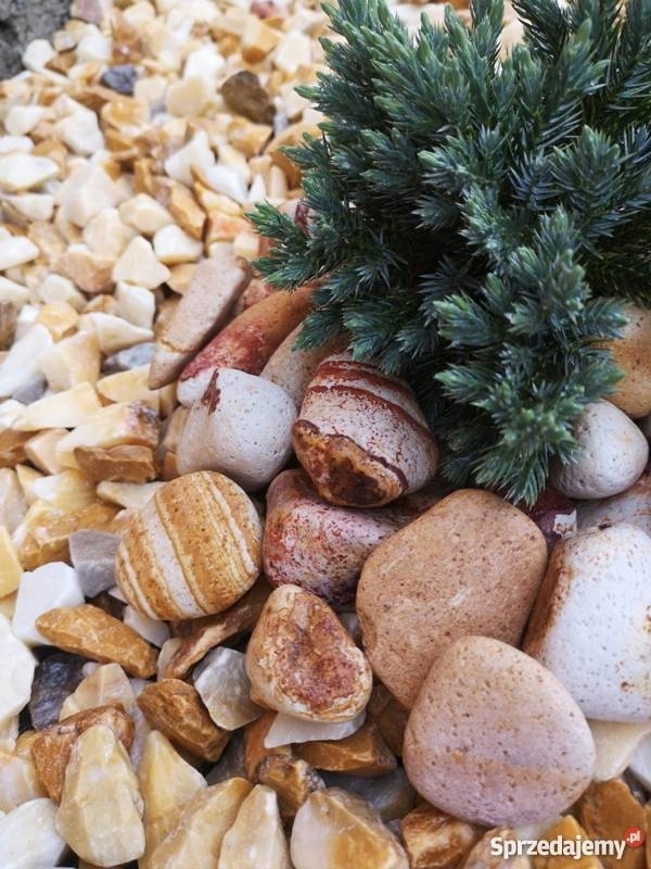 Купить Большие радужные садовые камни 25 кг: отзывы, фото и ...