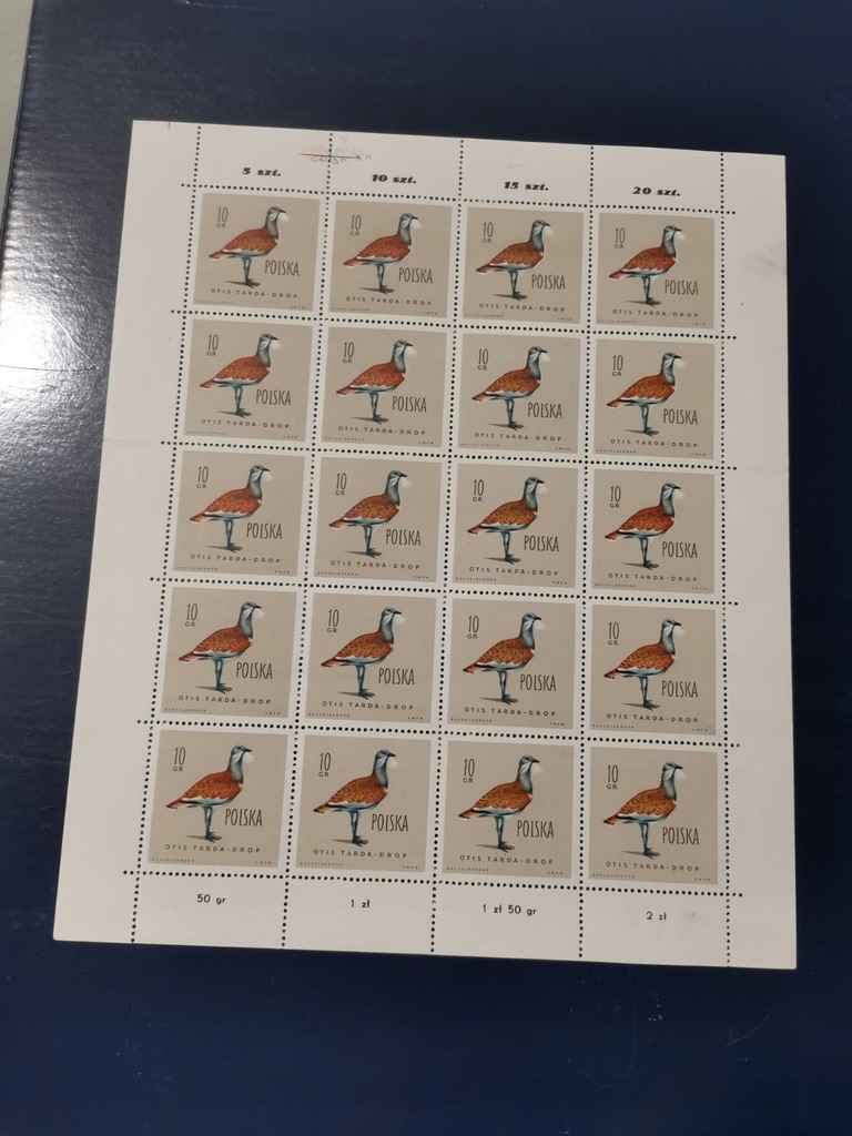 SPORT FI 1062 ARKUSZ - 13066445493 - oficjalne archiwum Allegro