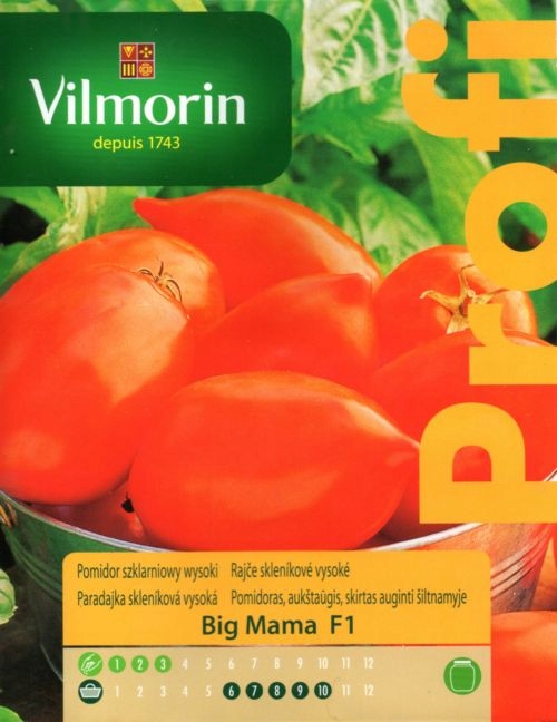 Pomidor wysoki BIG MAMA F1 0,1g nasion - 11516317307 - oficjalne archiwum Allegro