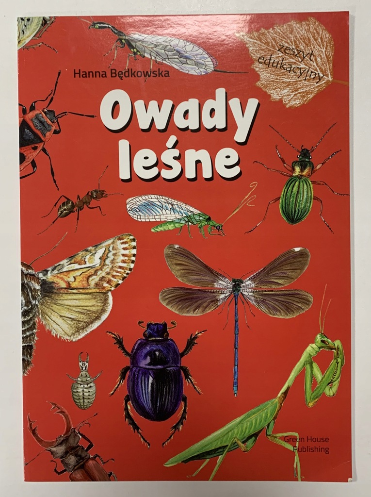 Owady leśne Będkowska - 11727430418 - oficjalne archiwum Allegro