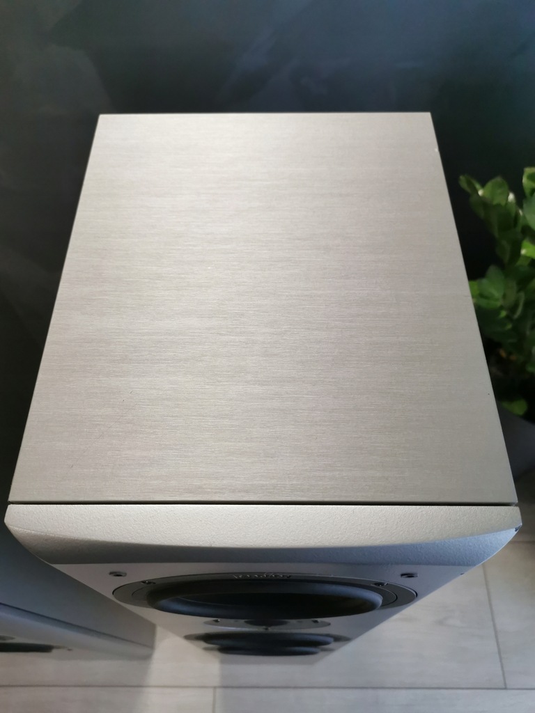 Kolumny Magnat Vector 77 Silver Millenium Edition - 13540273051 ...