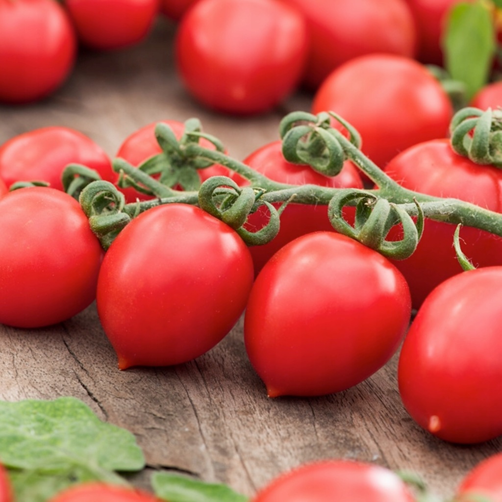 Pomidor Drobnoowocowy Malinowy Kapturek pomidory - 13080310825 ...