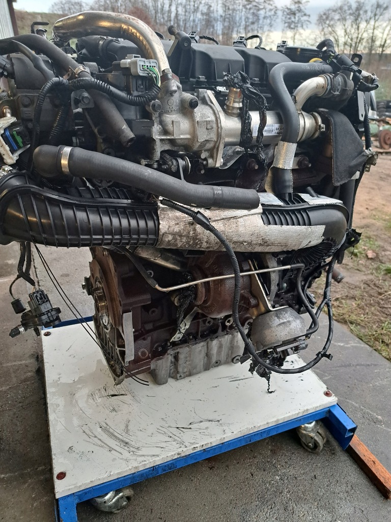 Kompletny silnik Ford Kuga Volvo D4204T 2.0 TDCI - 13077910246 - oficjalne archiwum Allegro