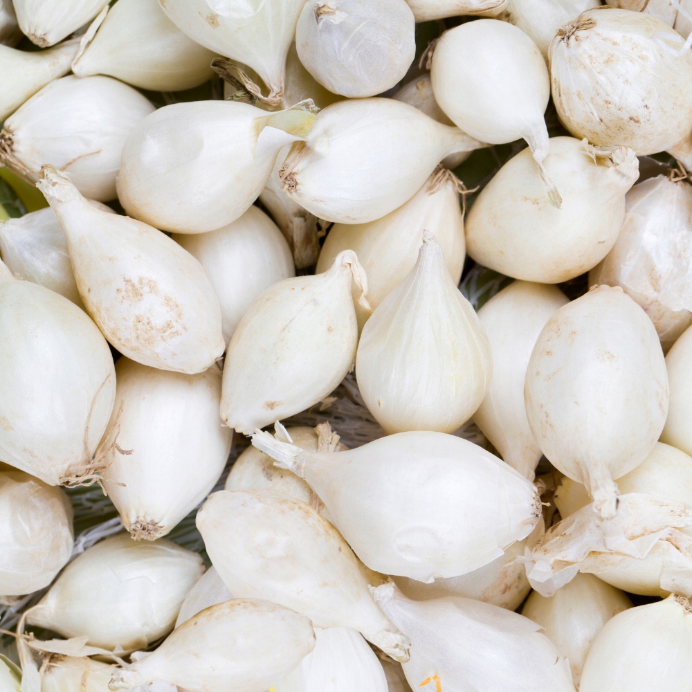 CEBULA DYMKA ALIBABA BIAŁA 5-20 mm 1 kg - 13160029102 - oficjalne ...