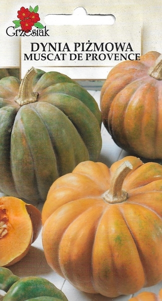 Dynia piżmowa MUSCAT nasiona - 13163310253 - oficjalne archiwum Allegro