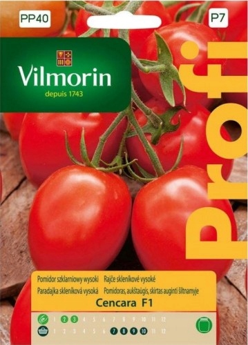 Pomidor szklarniowy wysoki Cencara F1 0,2 g Vilmo - 12988589641 - oficjalne archiwum Allegro