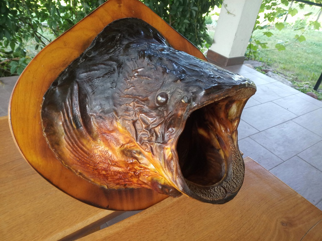 Duża głowa suma trofeum - 10960103422 - oficjalne archiwum Allegro