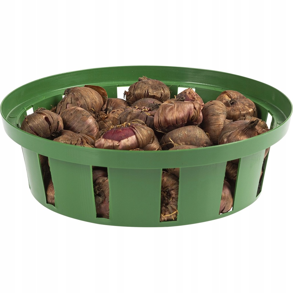 KOSZYCZEK OSŁONA do SADZENIA CEBUL KWIATOWYCH 23cm - 12272317747 ...