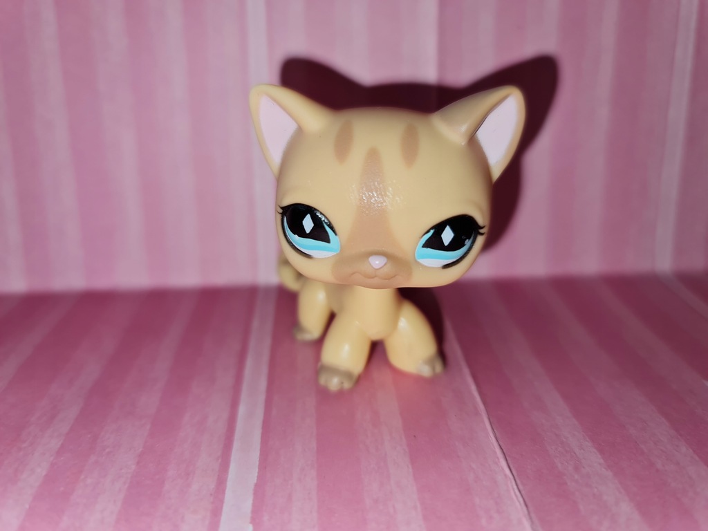 Littlest Pet Shop Kot Shorthair #886 Oryginał LPS - 11037651557 ...