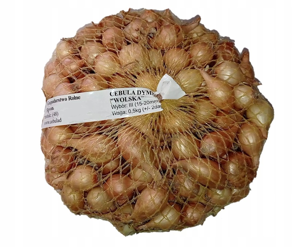 Cebula Dymka Wolska III 500g 15-20mm do Sadzenia Siewu Żółta Polska ...
