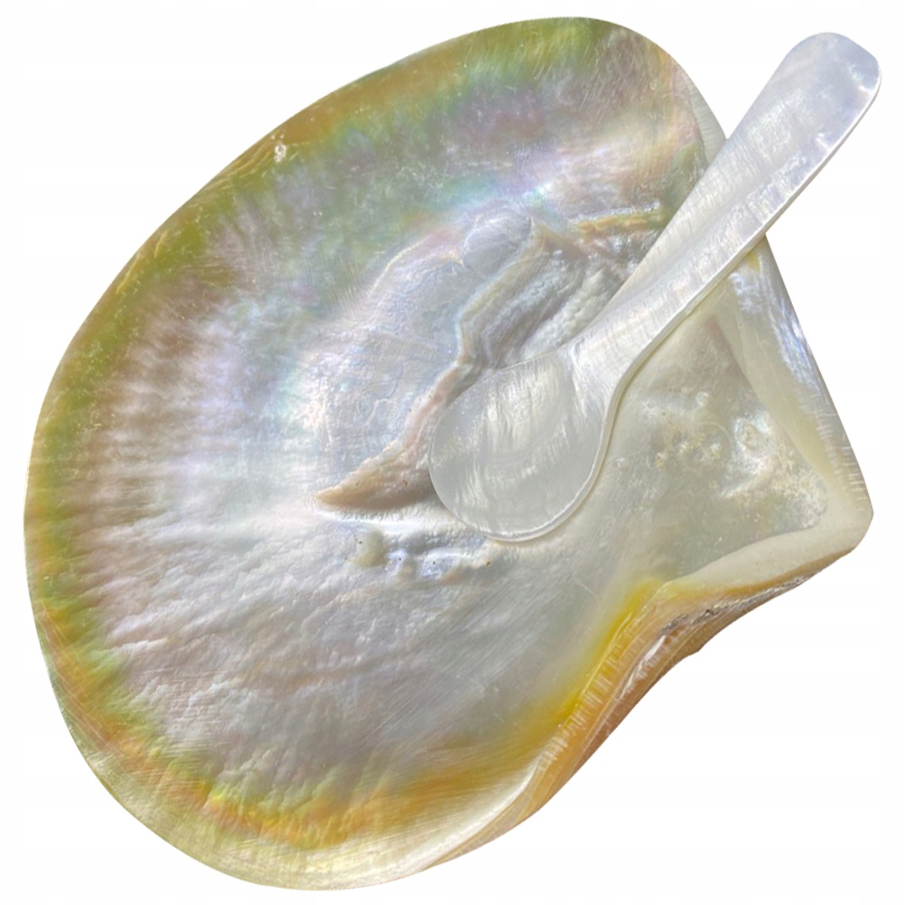 Dish Bin Shell Tableware Scallop Plates Dipping - 13523444939 ...