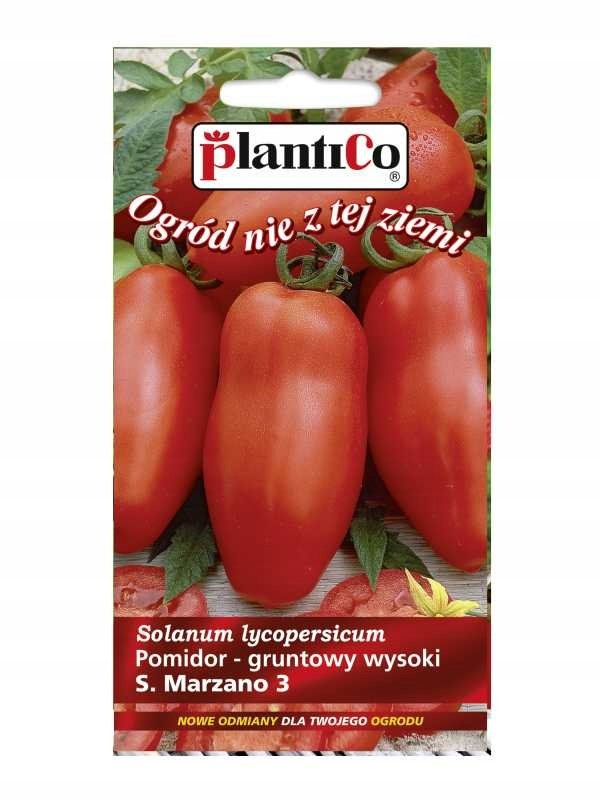 Pomidor gruntowy wysoki San Marzano 3 0,2g PLANTICO - 15011820342 - oficjalne archiwum Allegro