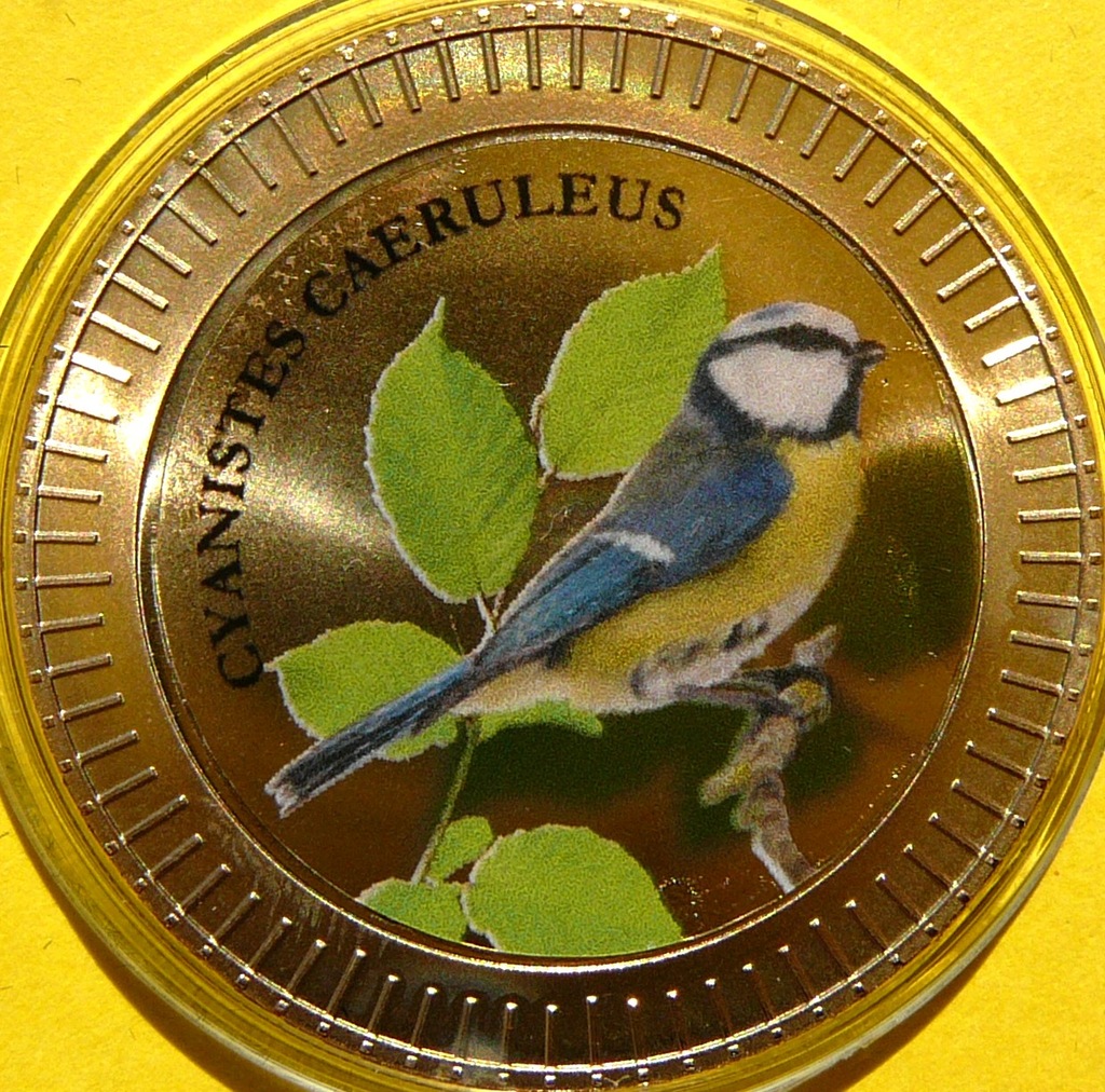 MODRASZKA ZWYCZAJNA PTAKI ŚWIATA ZAGROŻONE GATUNKI - 17519316871 ...