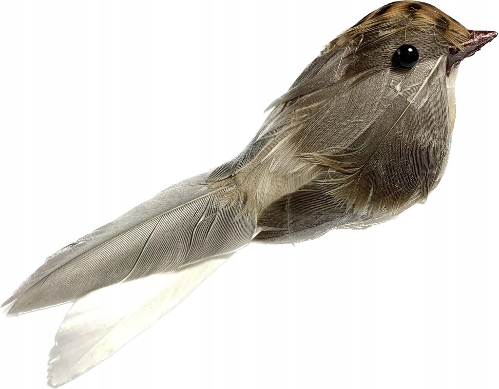 PTAK PTASZEK PTASZKI SZTUCZNE WRÓBEL PĘKATY DUŻY 2 - 13287384173 ...