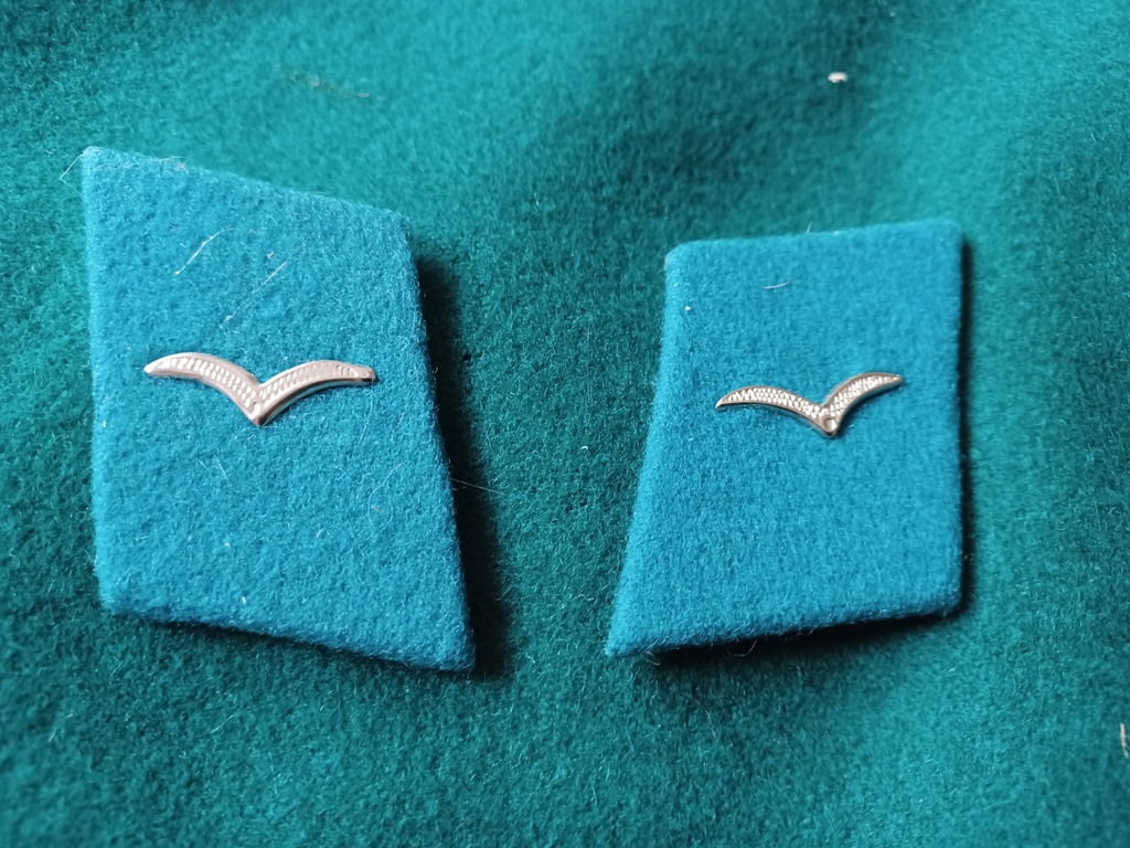 Luftwaffe patki munduru Sanitatssoldat REKO WW II - 13550847031 ...