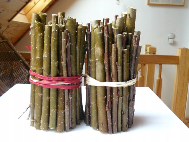 Topola 'Hybryda 275' sadzonki zdrewniałe sztobry - 9938469364 ...