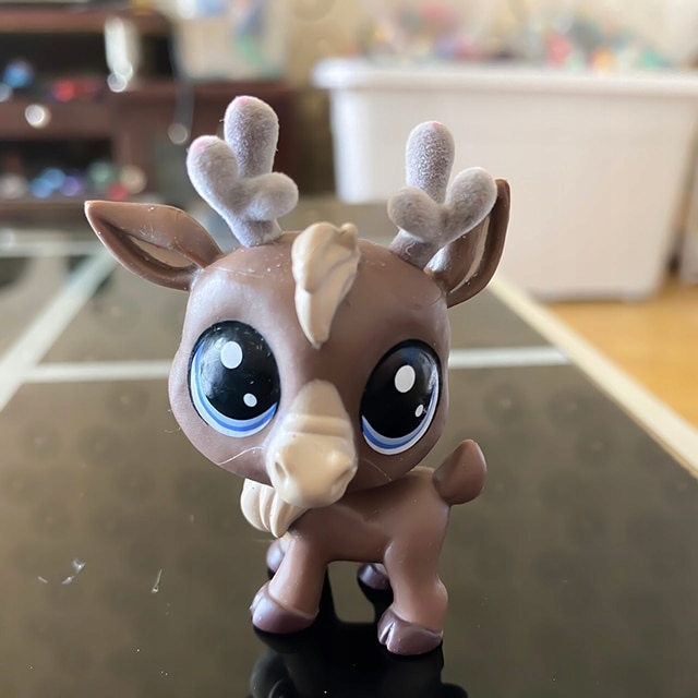 Lps psy nowy sklep zoologiczny kolekcja rysunek Co - 12718064268 ...