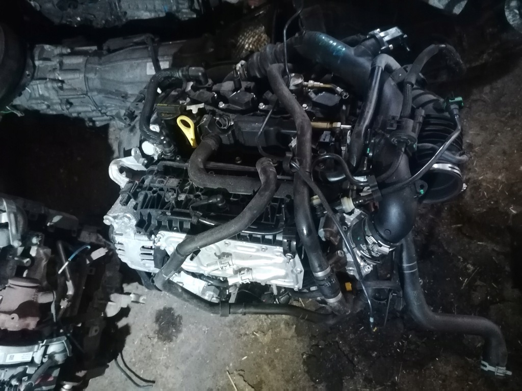 Ford Kuga 1,5 Ecoboost silnik M8MA - 11920587810 - oficjalne archiwum ...