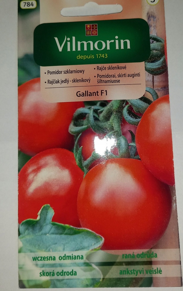 POMIDOR SZKLARNIOWY GALLANT F1 0,2G VILMORIN - 11847441984 - oficjalne archiwum Allegro