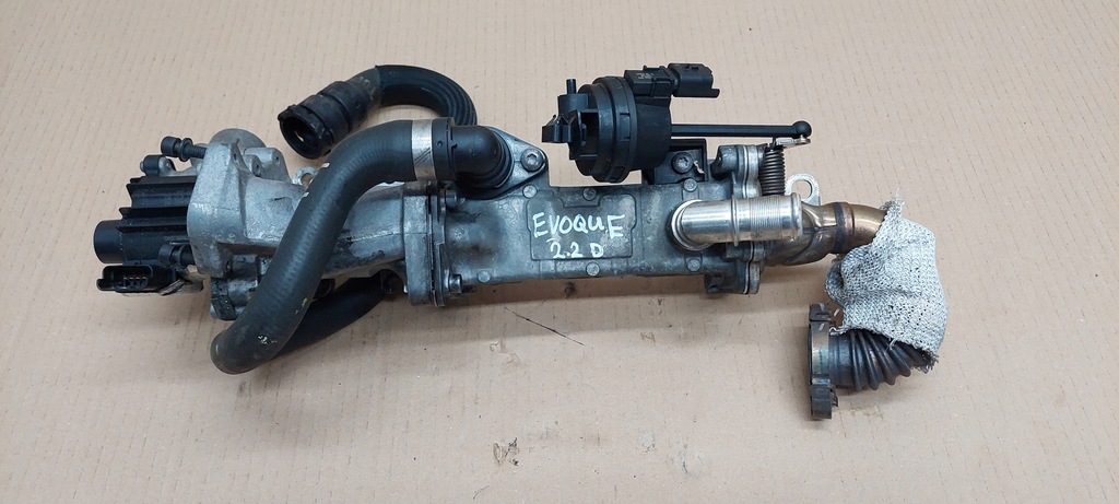 Chłodniczka spalin EGR Range Rover Evoque 2.2D - 12259432609 ...