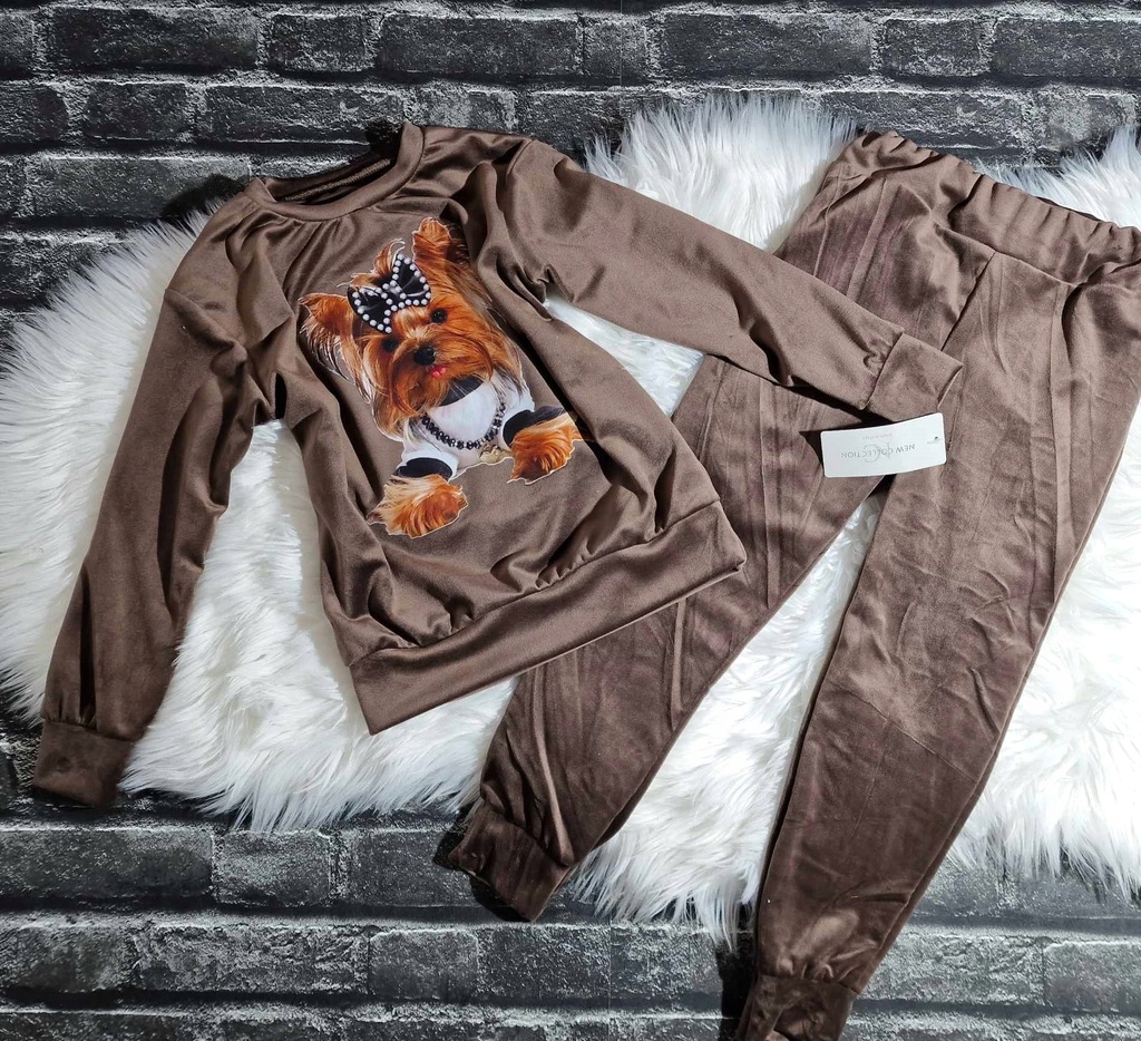 Komplet dla dziewczynki dres welurowy brązowy piesek 122/128 ...