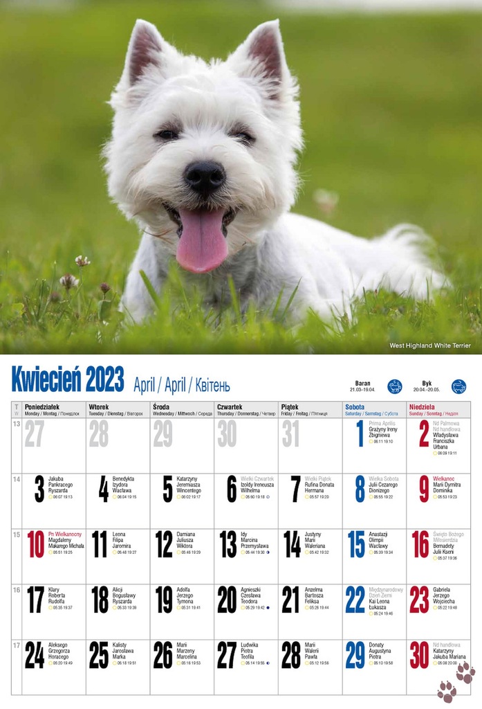 Kalendarz 2023 ścienny planszowy PSY PIESKI - 12835069140 - oficjalne archiwum Allegro