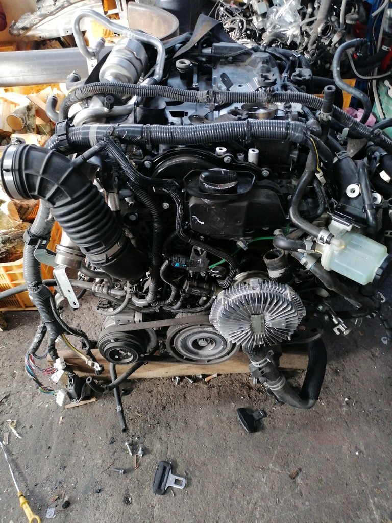 NISSAN NAVARA D23 SILNIK KOMPLETNY 2.3DCI 19R - 9944821155 - oficjalne ...