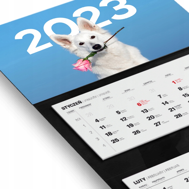 Купить Трехсторонний настенный календарь на 2023 год с выкройками для собак: отзывы, фото и ...