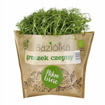Groszek czepny BIO mikro liście doniczka Baziółka - 12315133963 ...