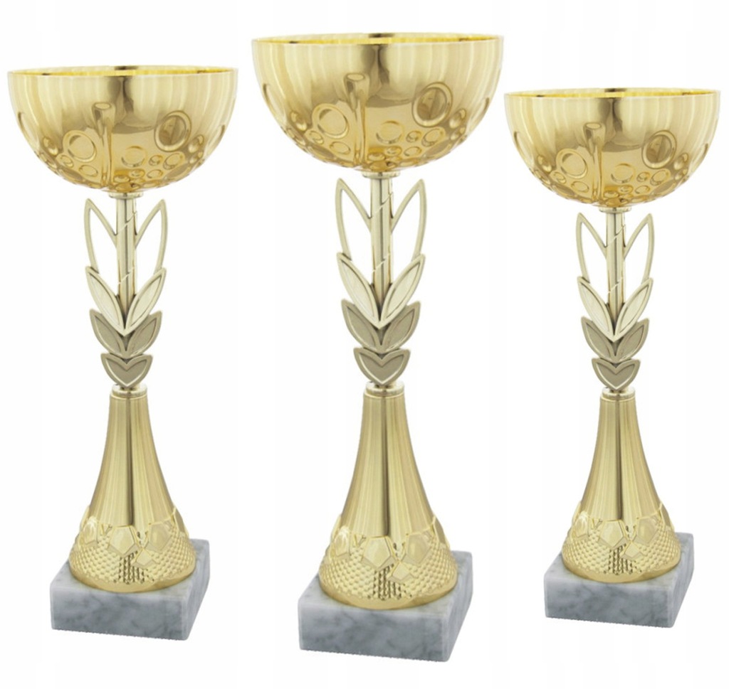 Komplet zestaw PUCHARÓW PUCHARY + GRAWER 26-28,5cm - 12359368076 ...