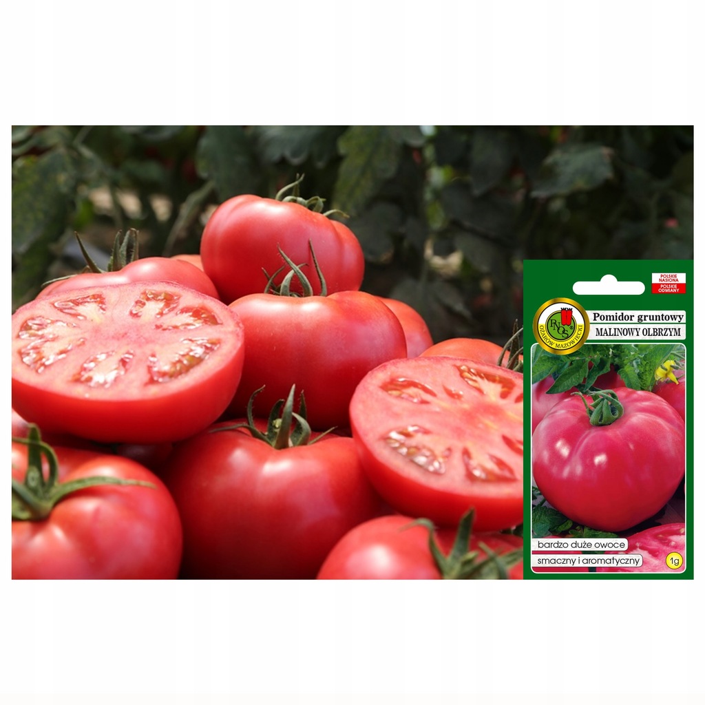 Pomidor Malinowy Gruntowy Olbrzym Aromatyczny 1g - 13390577542 - oficjalne archiwum Allegro