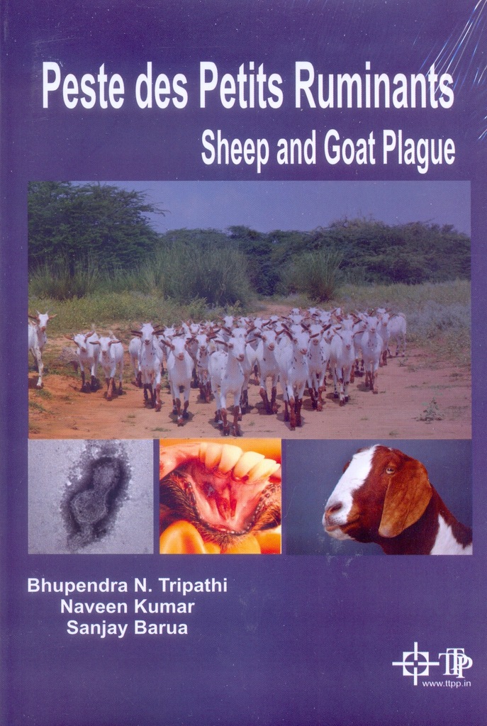 Peste Des Petits Ruminants : Sheep And Goat Plague - 12593208025 ...