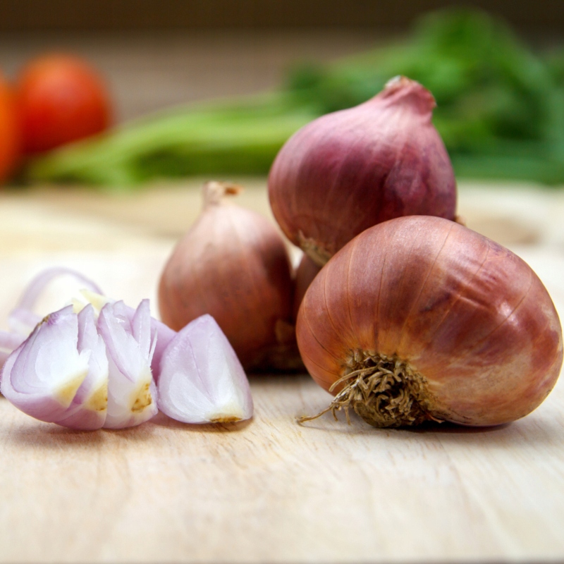 Cebula szalotka Toto - MROZOODPORNA - Nasiona - 12965801413 - oficjalne ...