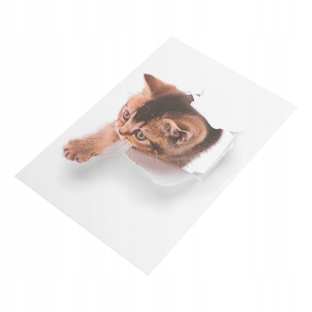3D Cats Wall Stickers Funny Cat Stickers - 13198349800 - oficjalne ...