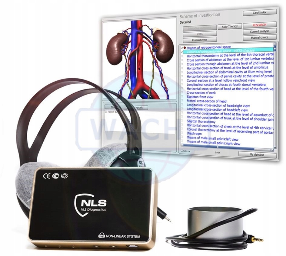 Bio Resonance 18D NLS biorezonans - 13607935608 - oficjalne archiwum ...