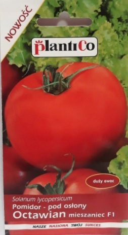 Pomidor Octawian F1 nasiona 0,1 g - 15043437365 - oficjalne archiwum Allegro