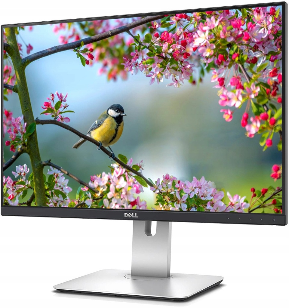 OUTLET Monitor Dell U2415 24'' LED 1920x1200 IPS - 12466930945 ...