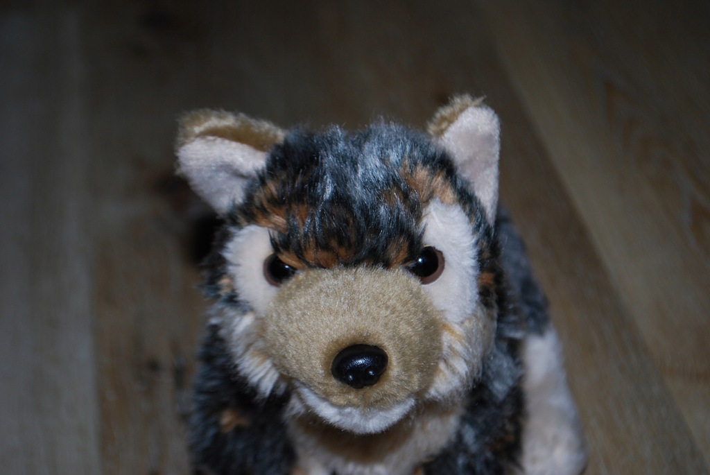 pluszak maskotka młody wilk Leosco Uni-Toys cudny - 13407349093 ...